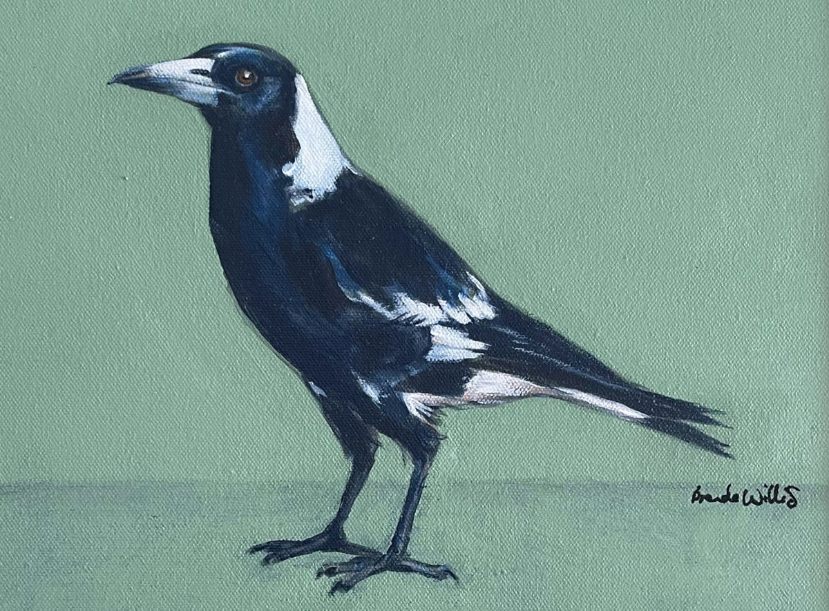 Original Australian Magpie acrylic painting – ArtByPost