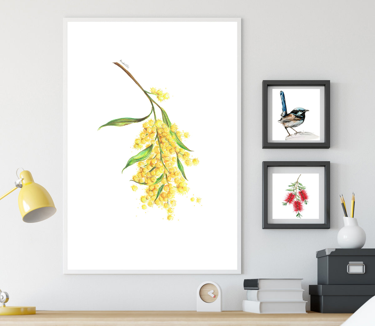Yellow Wattle flower drawing print. Australian native flower watercolo ...